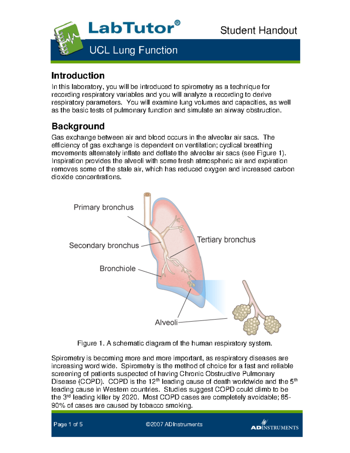 25.11.21 Lung Function (D) - UCL Lung Function Introduction In this ...