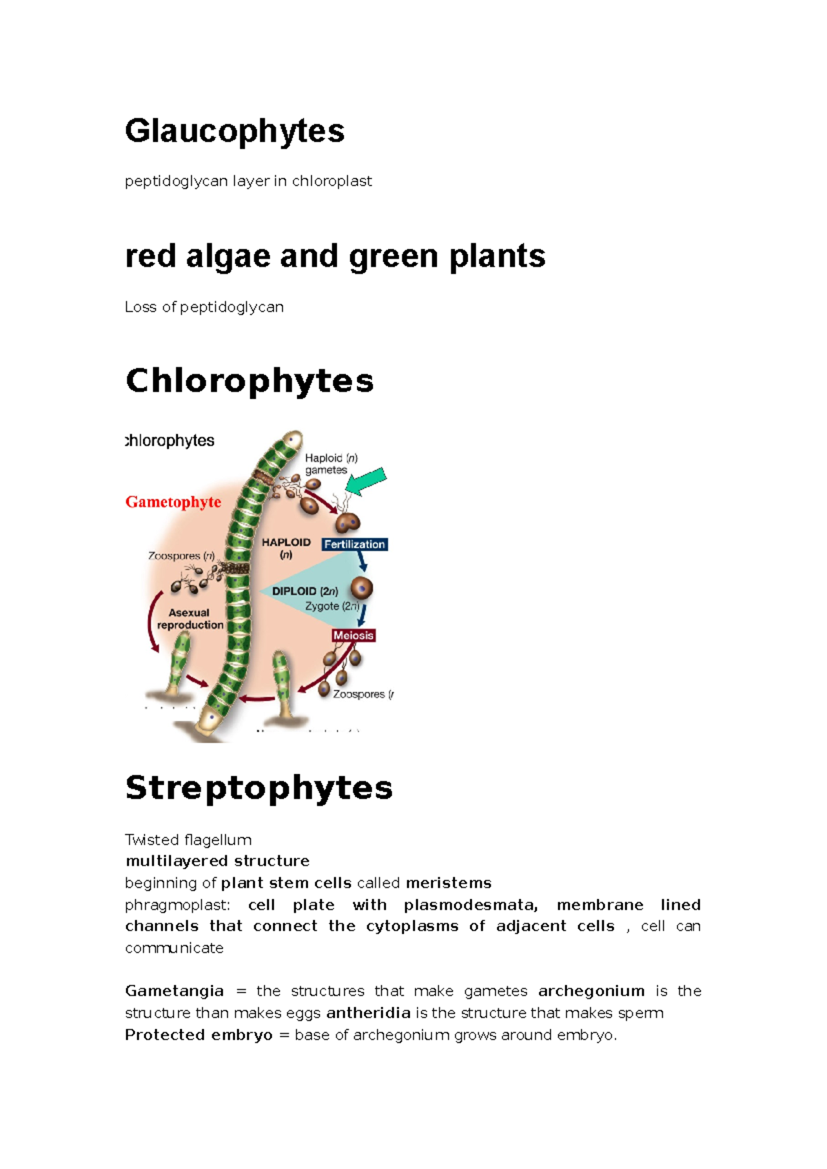 Mid2review - Review notes for mid2 - Glaucophytes peptidoglycan layer ...