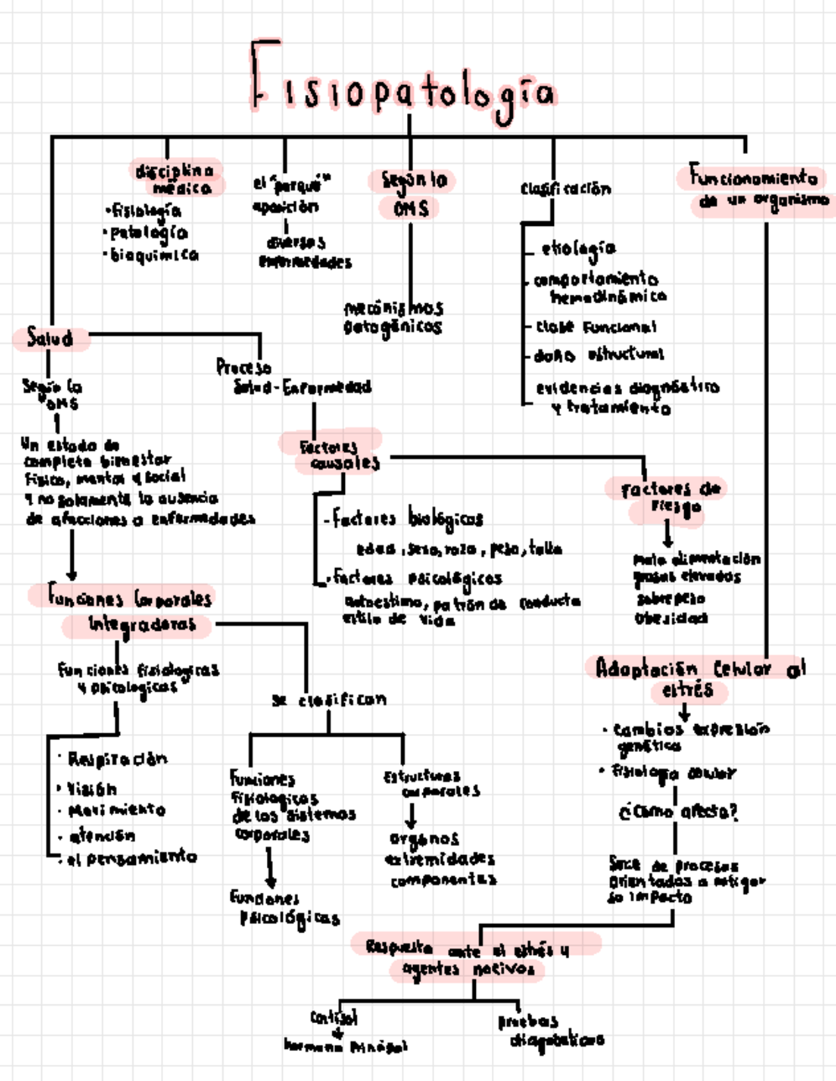 MAPA Conceptual Fisiopatologia - Fisiopatología ↑ disciplina ...