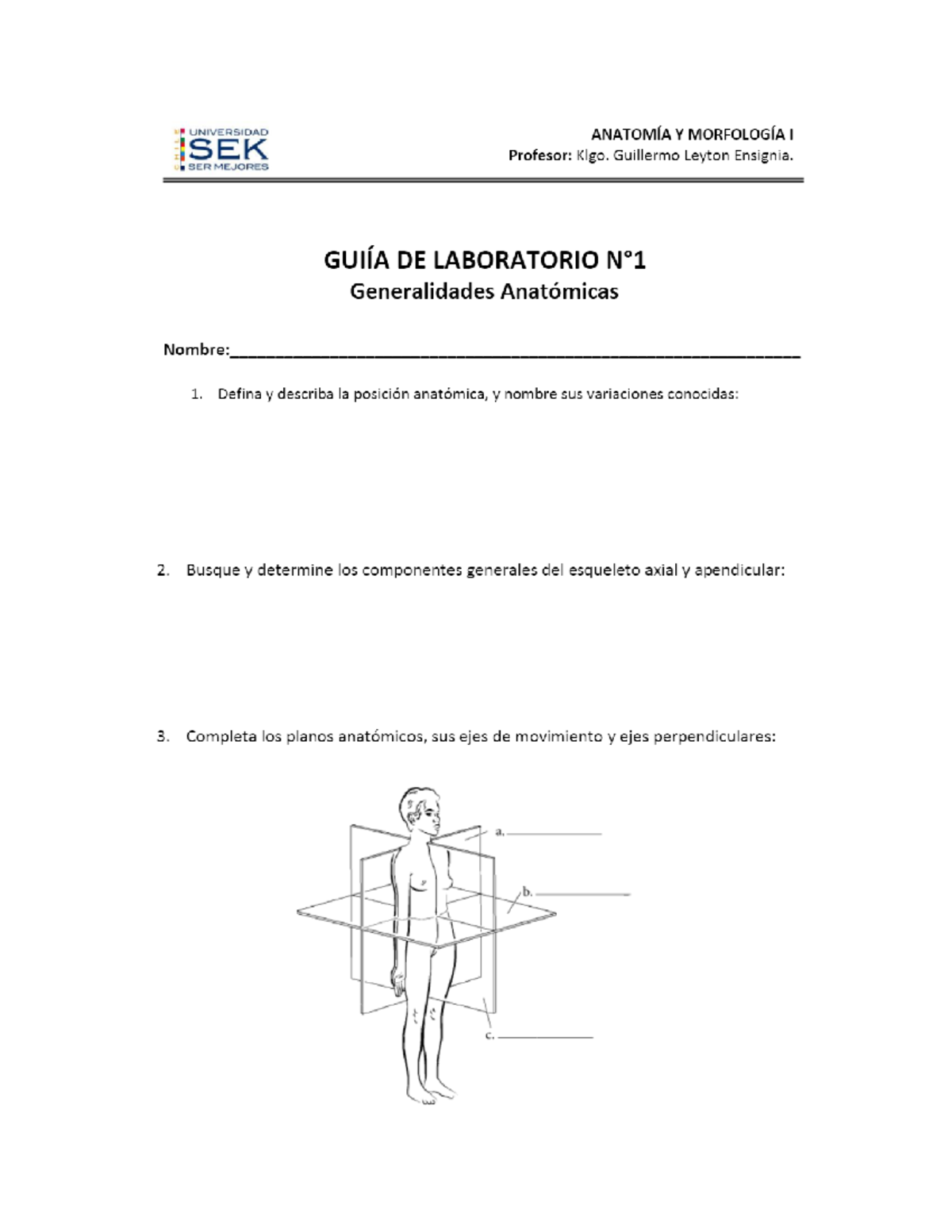 GUÍA 1 LAB Anatomia - GUÍA - Anatomía Humana - Studocu