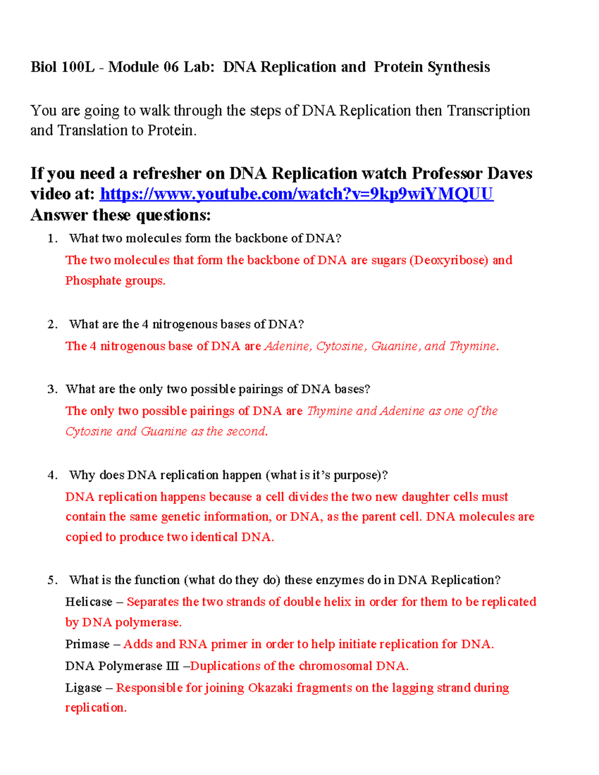 DNA Replication and Protein Synthesis Lab Worksheet Mod 6 Biol 100L - Biol 100L - Module 06 Lab ...