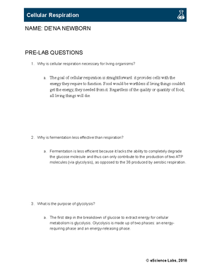 Lab 6a: Cell Structure and Function - NAME: PRE-LAB QUESTIONS Identify three major similarities ...