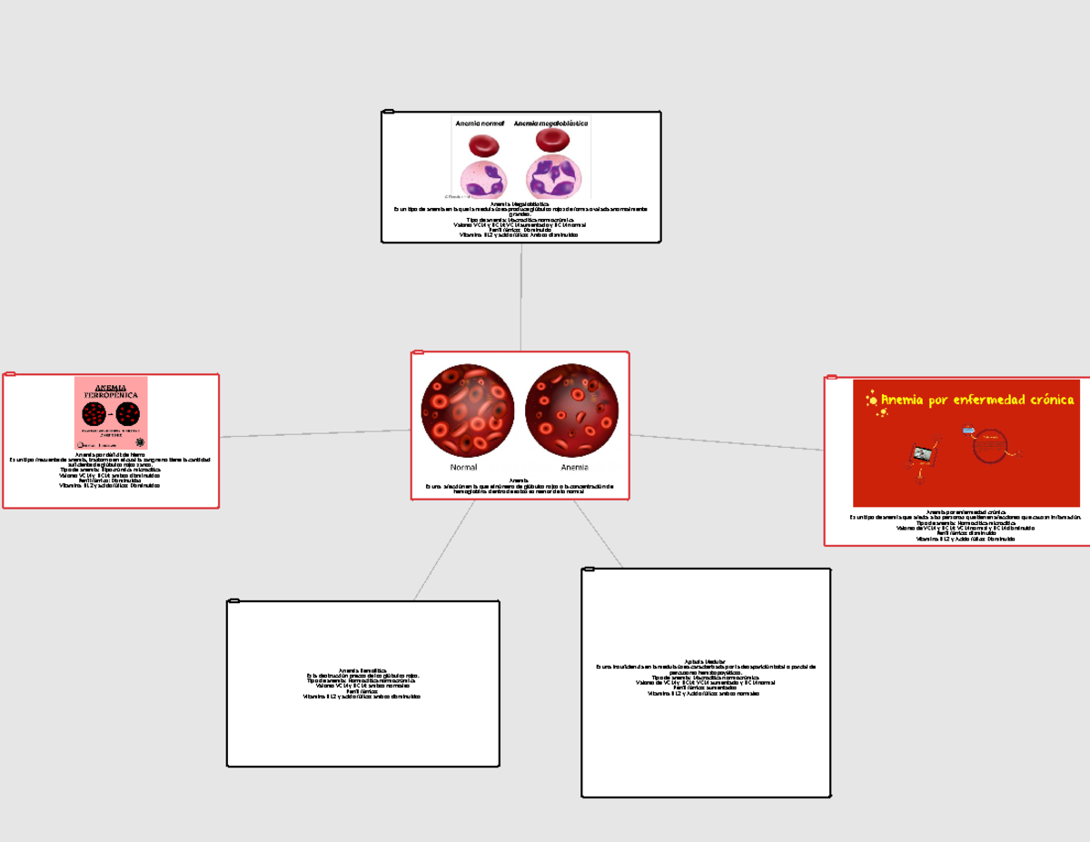 Esquema de los tipos de anemia de hematología - Hematología Básica ...