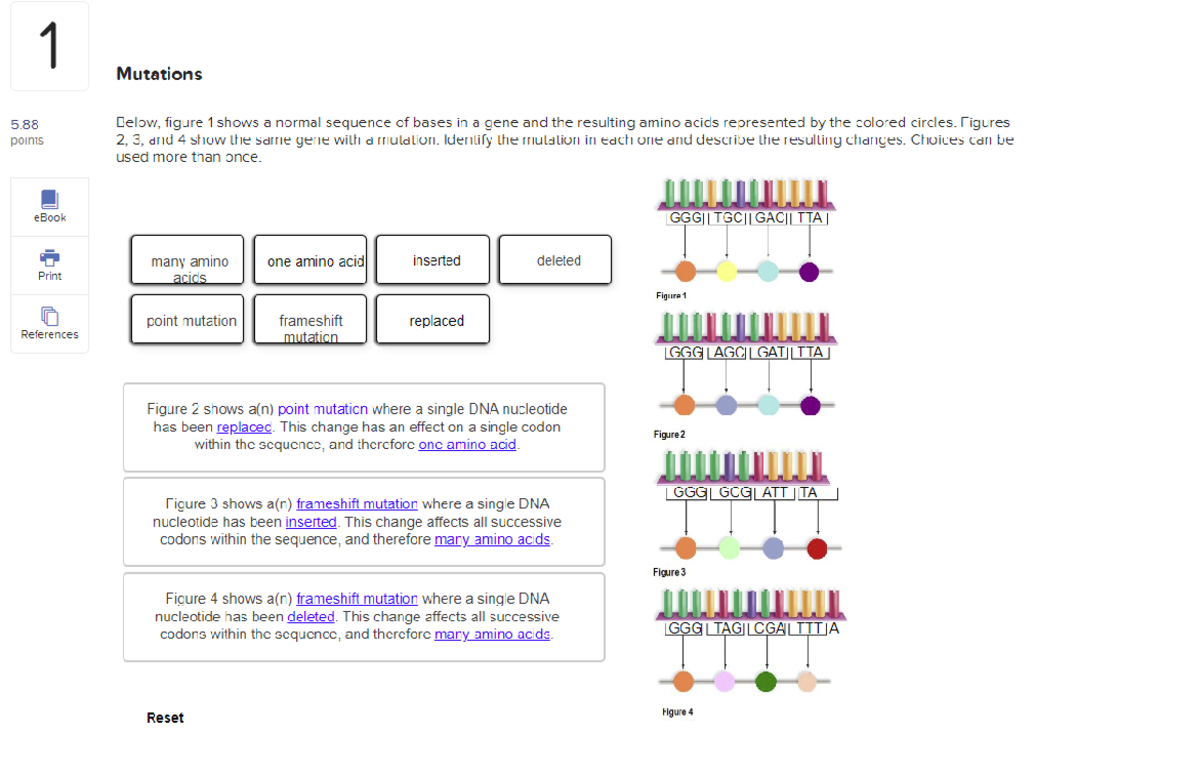 Chapter 13 14 Assignment Answers Studocu