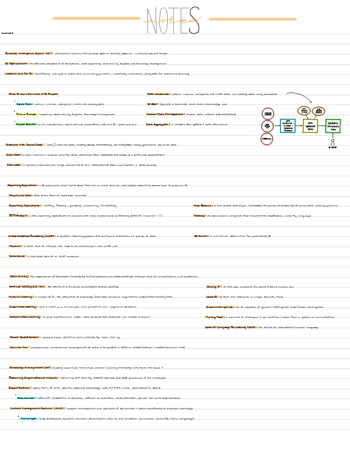 MIS200 Module 8 Notes - effete MODULE 8 Business Intelligence System ...