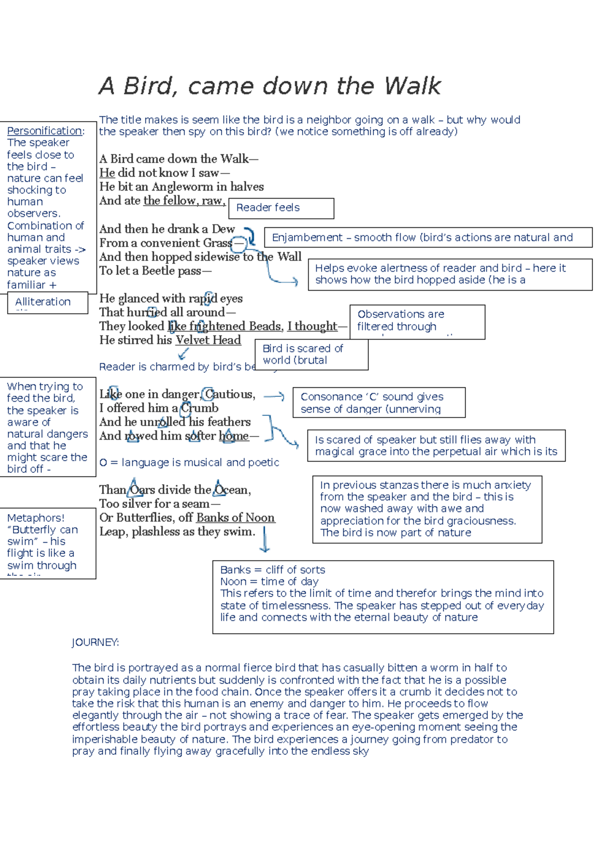 A Bird, came down the walk - A Bird, came down the Walk The title makes ...