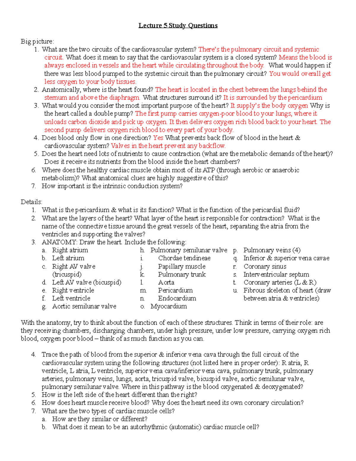 Lecture 5 Study Questions-1 - Lecture 5 Study Questions Big picture: 1 ...
