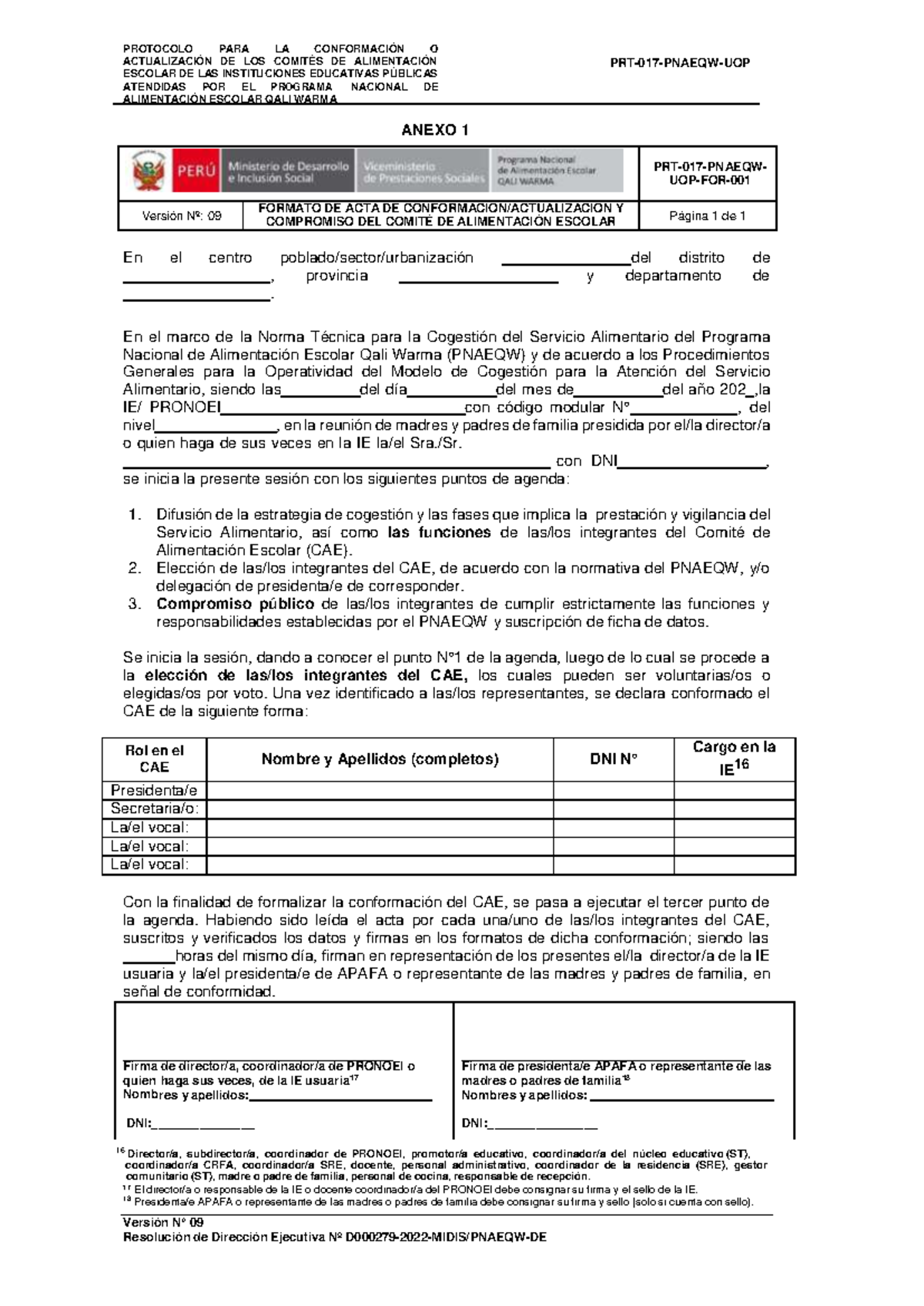 Formato CAE 2022 - información - PROTOCOLO PARA LA CONFORMACIÓN O ACTUALIZACIÓN DE LOS COMITÉS ...