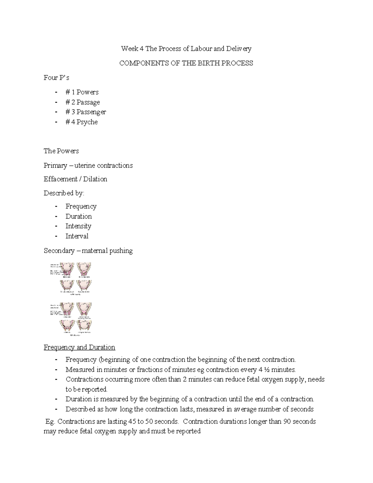 Week 4 The Process of Labour and Delivery - Week 4 The Process of ...