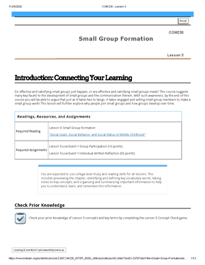 COM230 - Lesson 1 - Lecture 1 Notes - COM Introducing Small Group ...