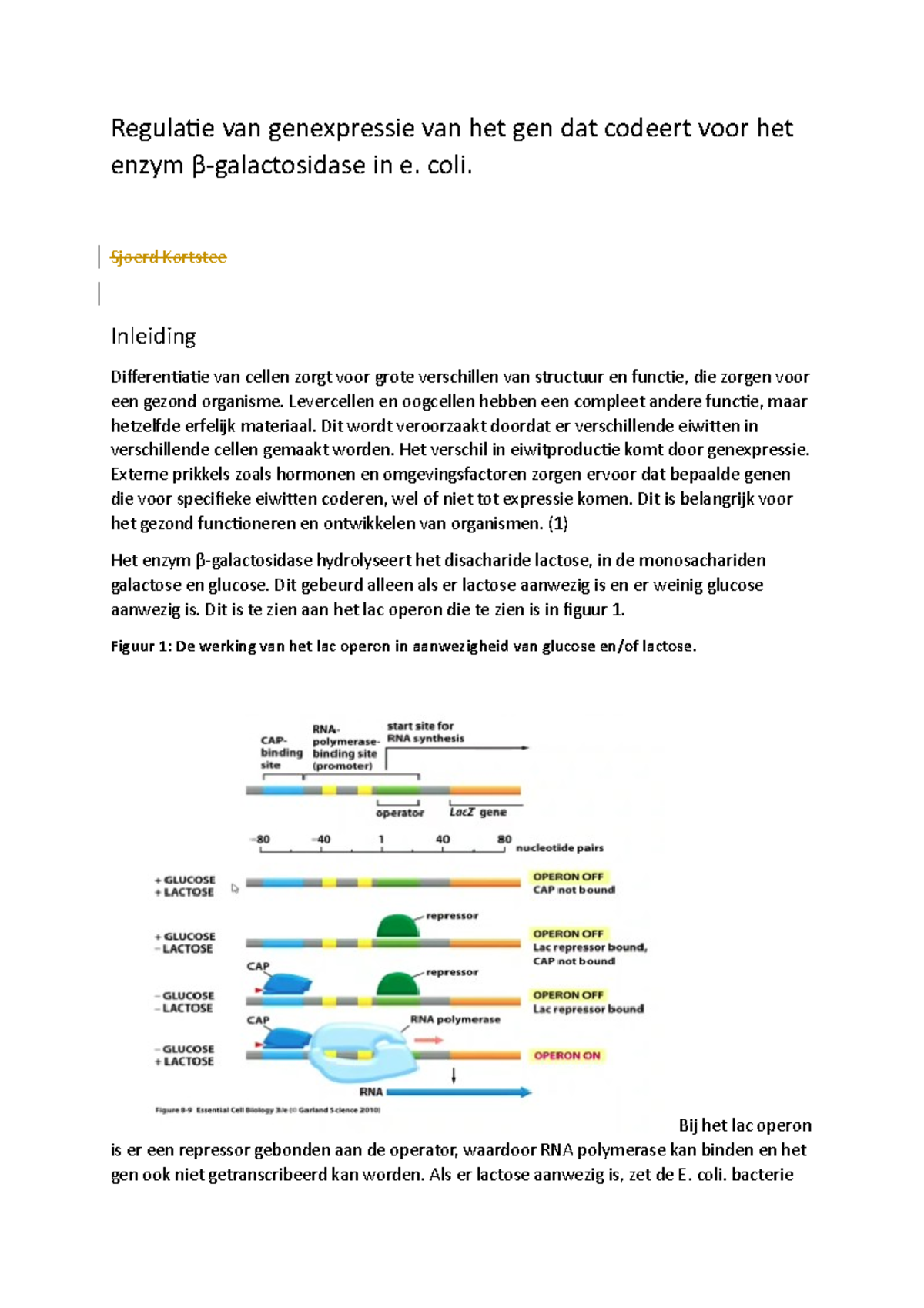 De regulatie van genexpressie van het gen dat codeert voor beta ...