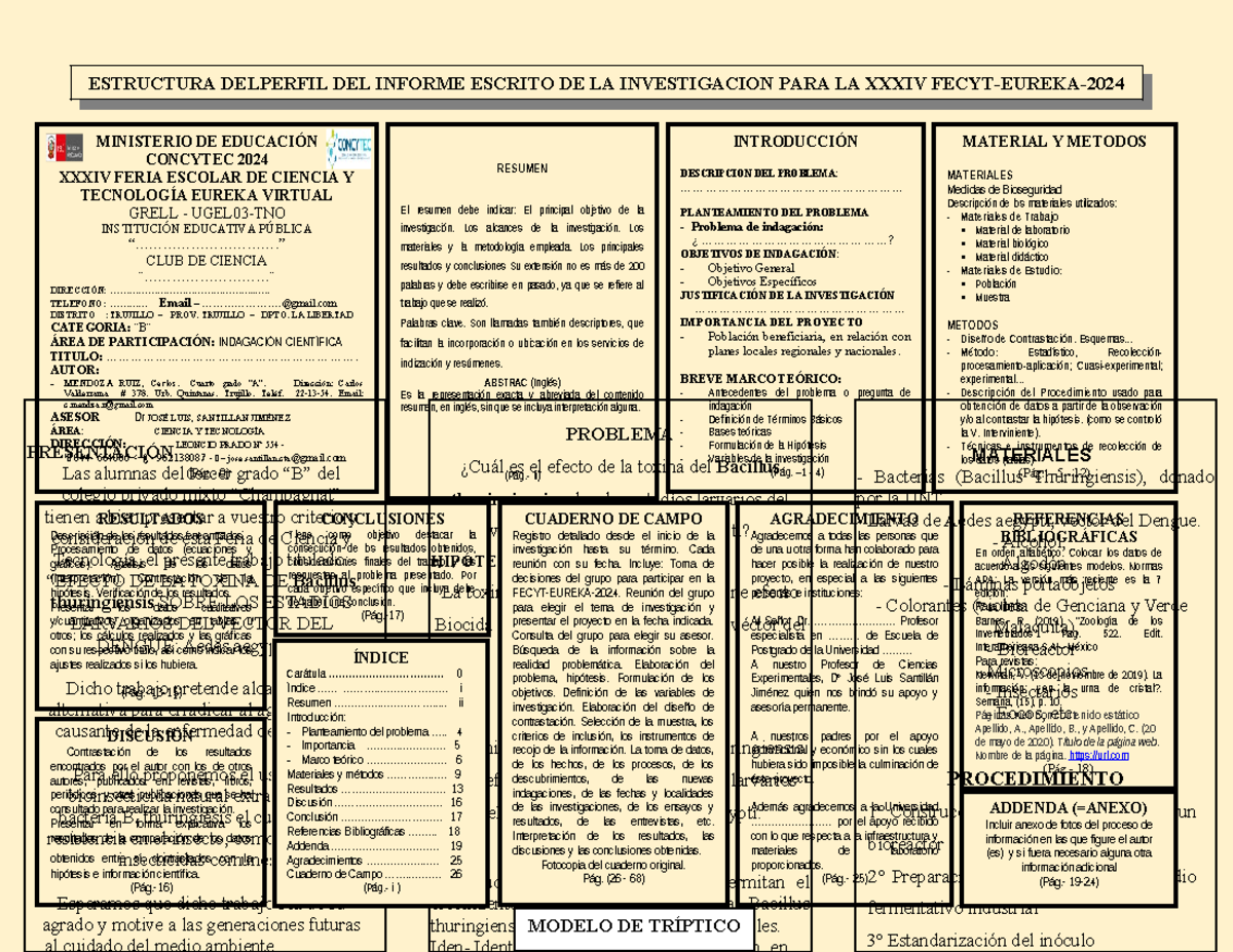 01 Formato DE Informe 2024 - MINISTERIO DE EDUCACIÓN CONCYTEC 2024 ...