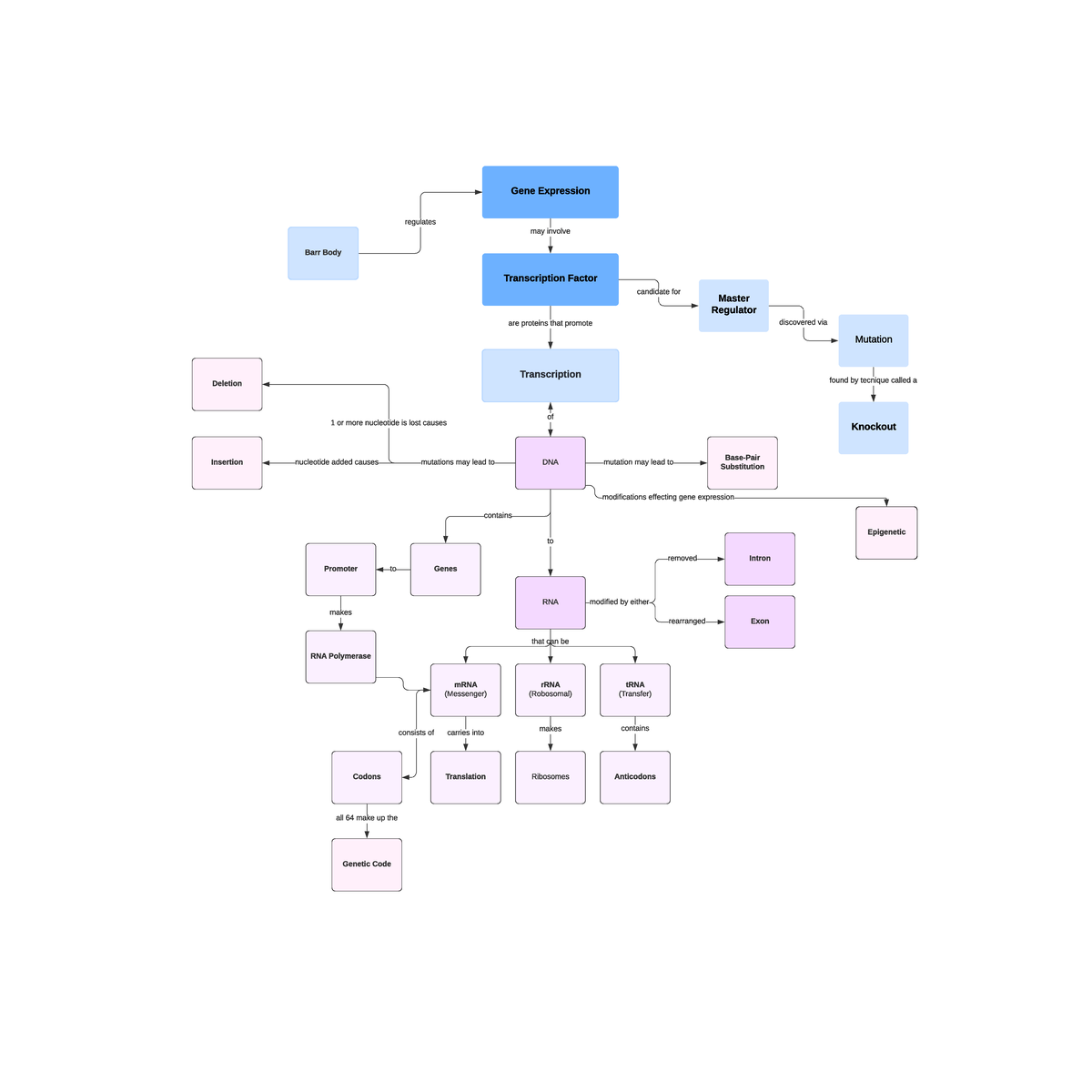 BIO Chapter 8 Concept map - Gene Expression Transcription DNA to RNA ...