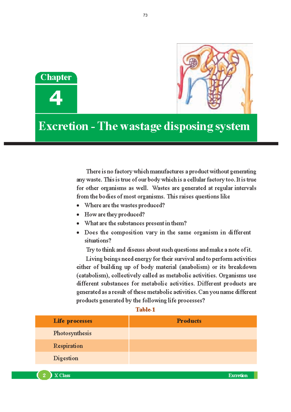 Class biology study material part 10 - 2 X Class Excretion There is no ...