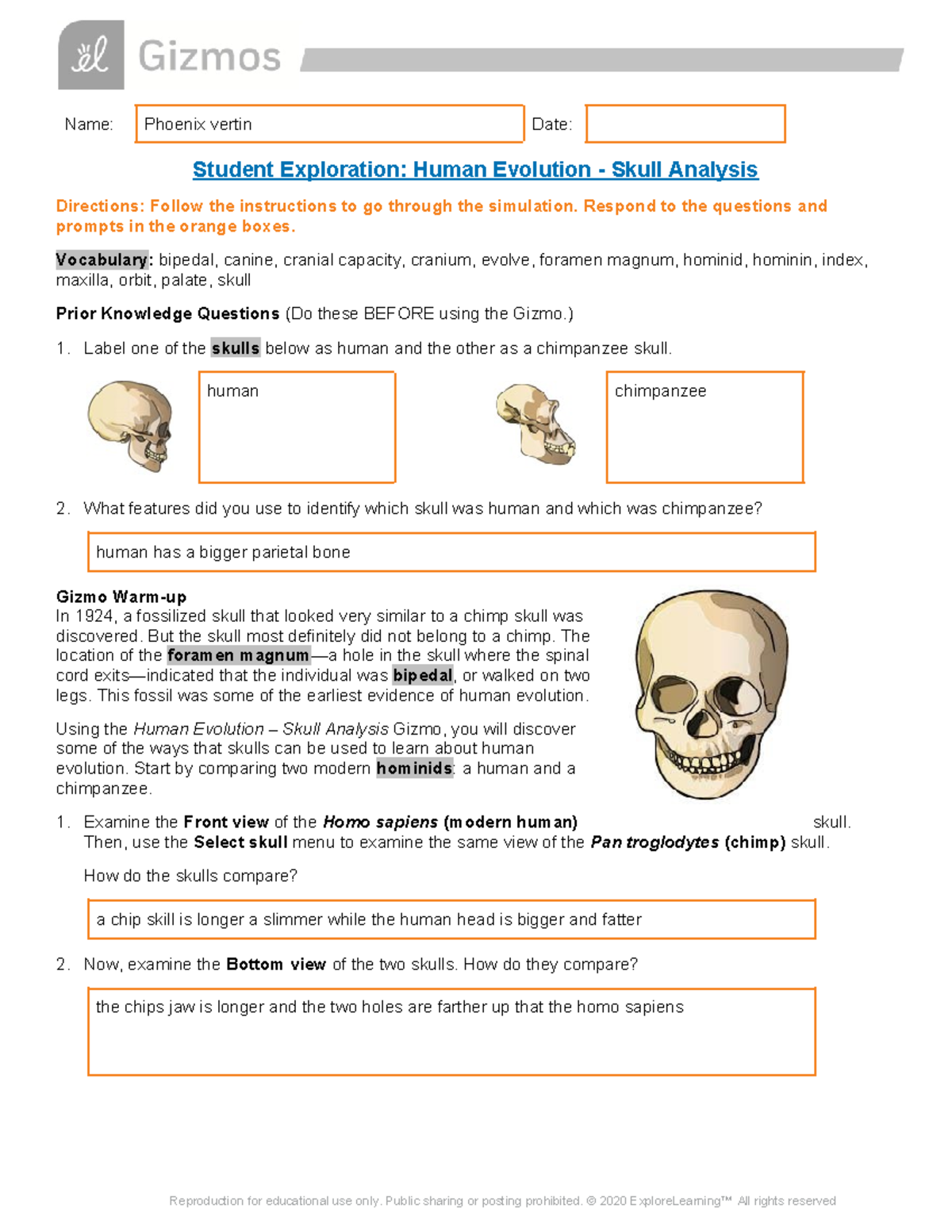 Human Evolution Gizmo - Name: Phoenix vertin Date: Student Exploration ...