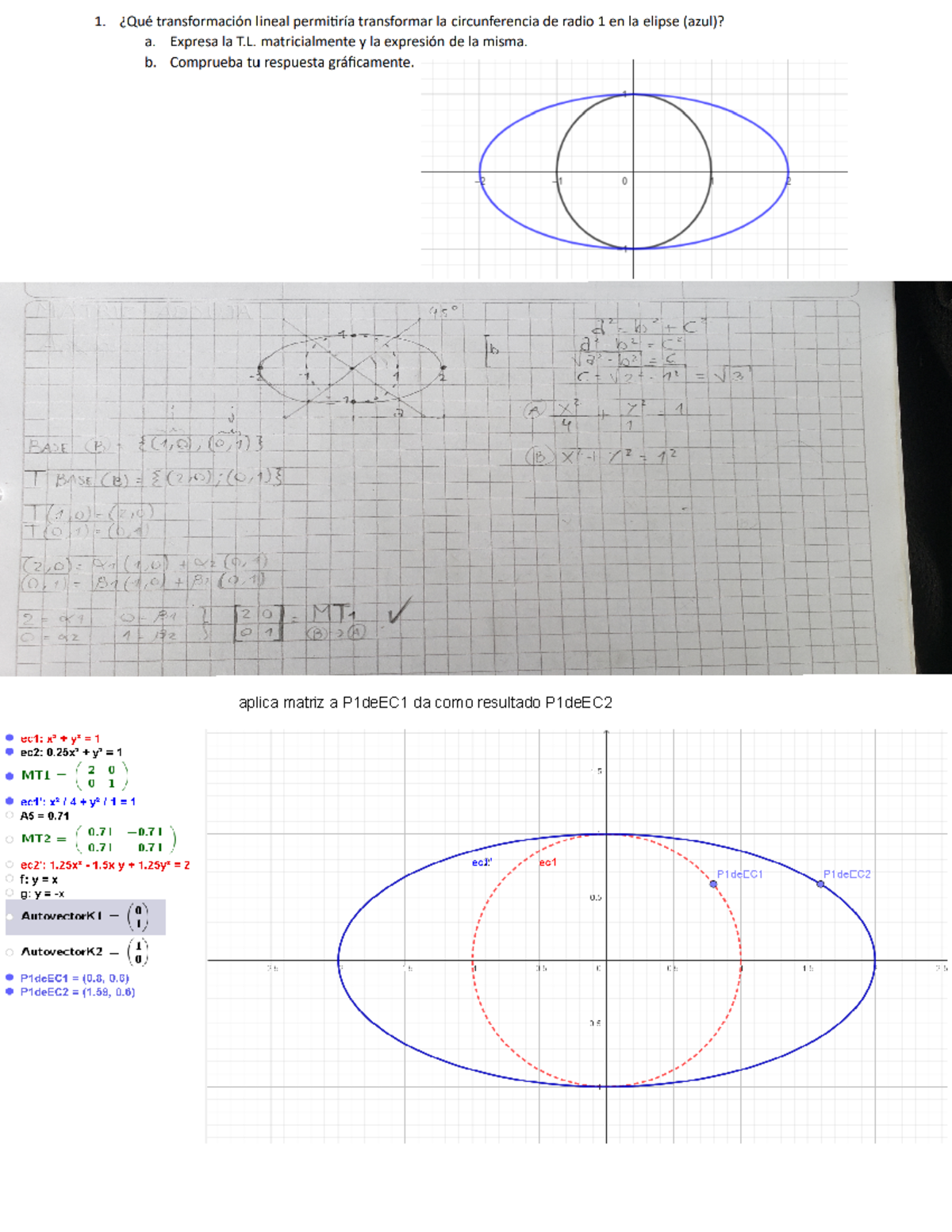 Integrador pdf - Álgebra - Studocu