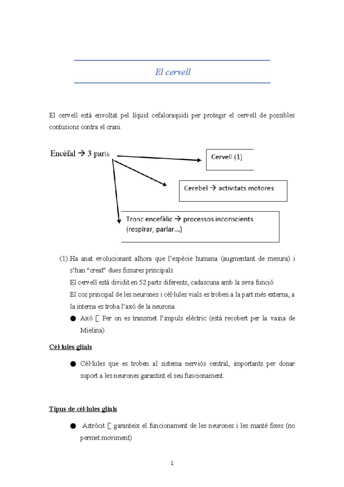 Apunts Bàsica II (definitius) - El cervell El cervell està envoltat pel líquid cefaloraquidi per ...