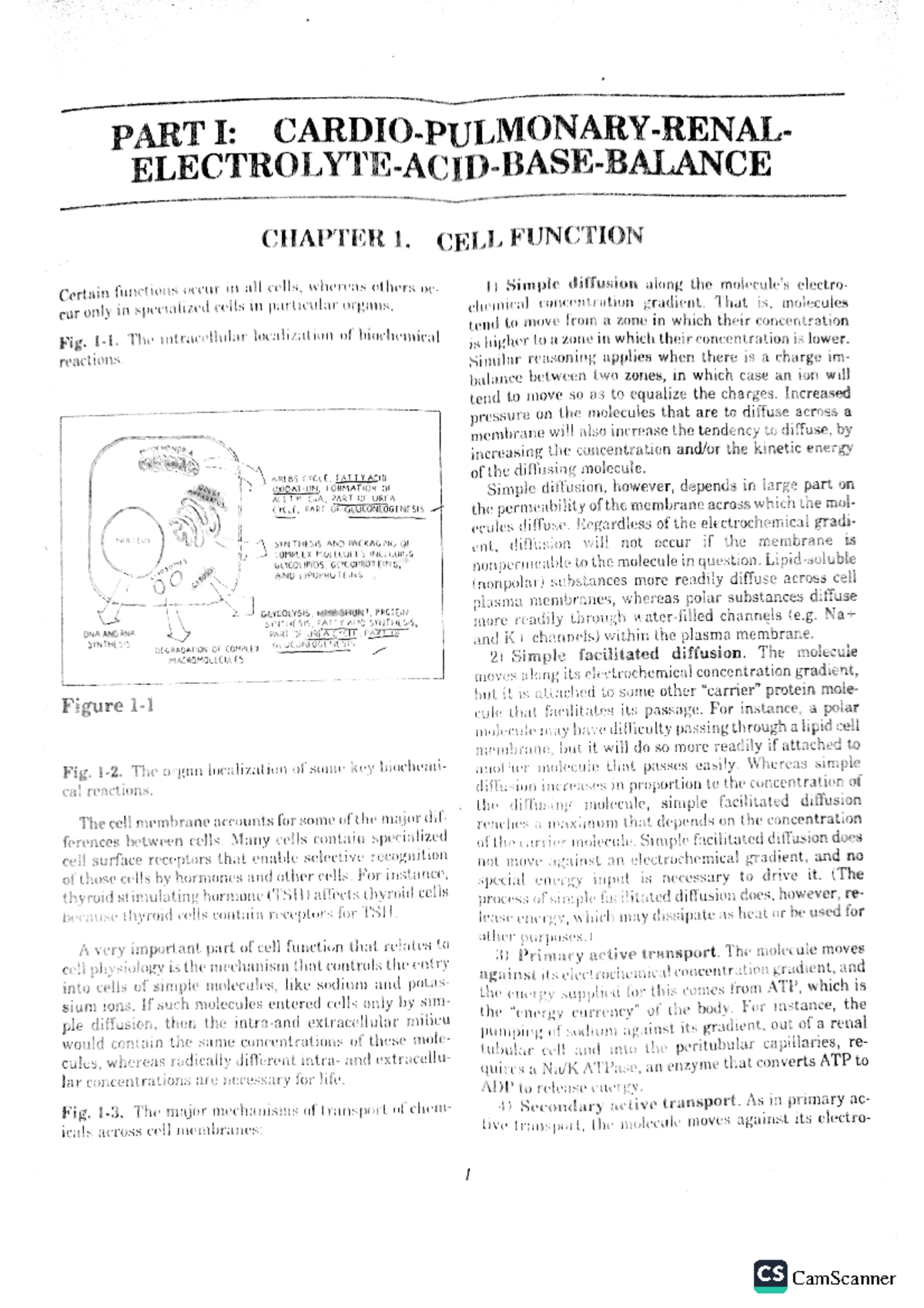 Cardio- Pulmonary- Renal- Electrolyte-ACID-BASE- Balance - Bsed Gensci ...