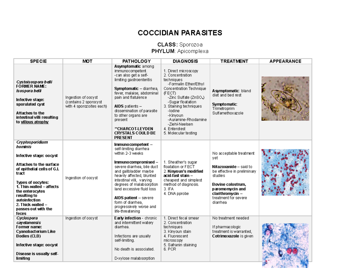 Coccidian Parasites - Lecture notes Lesson 2 - COCCIDIAN PARASITES ...