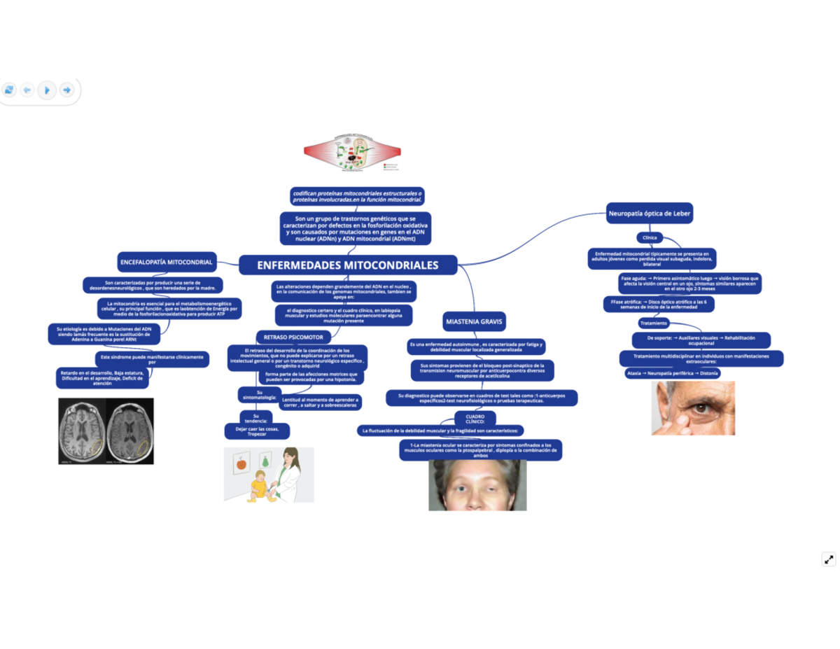 ENF Mitocondriales - IHIHIHI - Ciencias Experimentales - Studocu