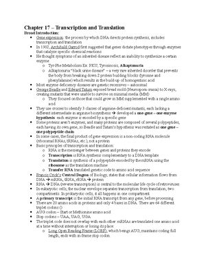17 Gene Expression From Gene to Protein - Who formulated the one gene ...