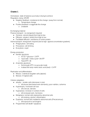 Addison Disease Concept Map - Addison Disease Concept Map Definition ...