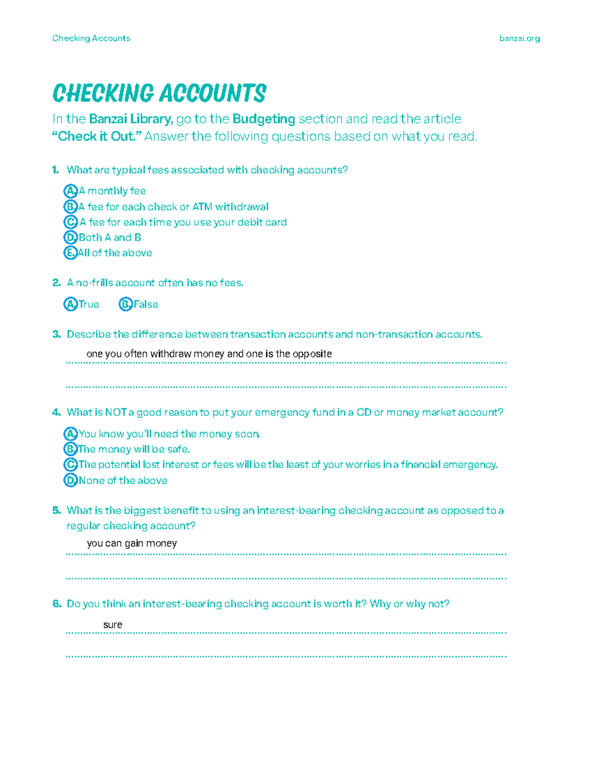Kami Export - Delaney Student - Checking-Accounts-Worksheet - Checking ...