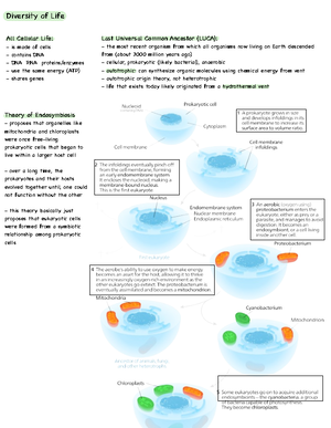 2010 Midterm bio 1002 test with answers - 1 Circle the best single ...