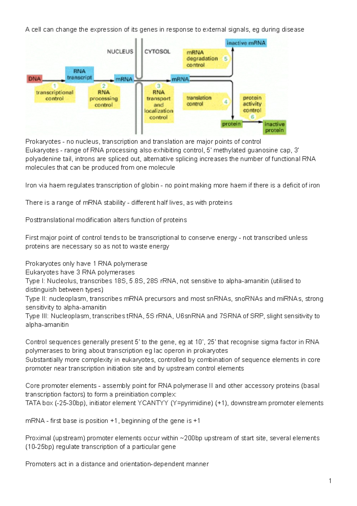 Eukaryotic Gene Expression - A cell can change the expression of its ...