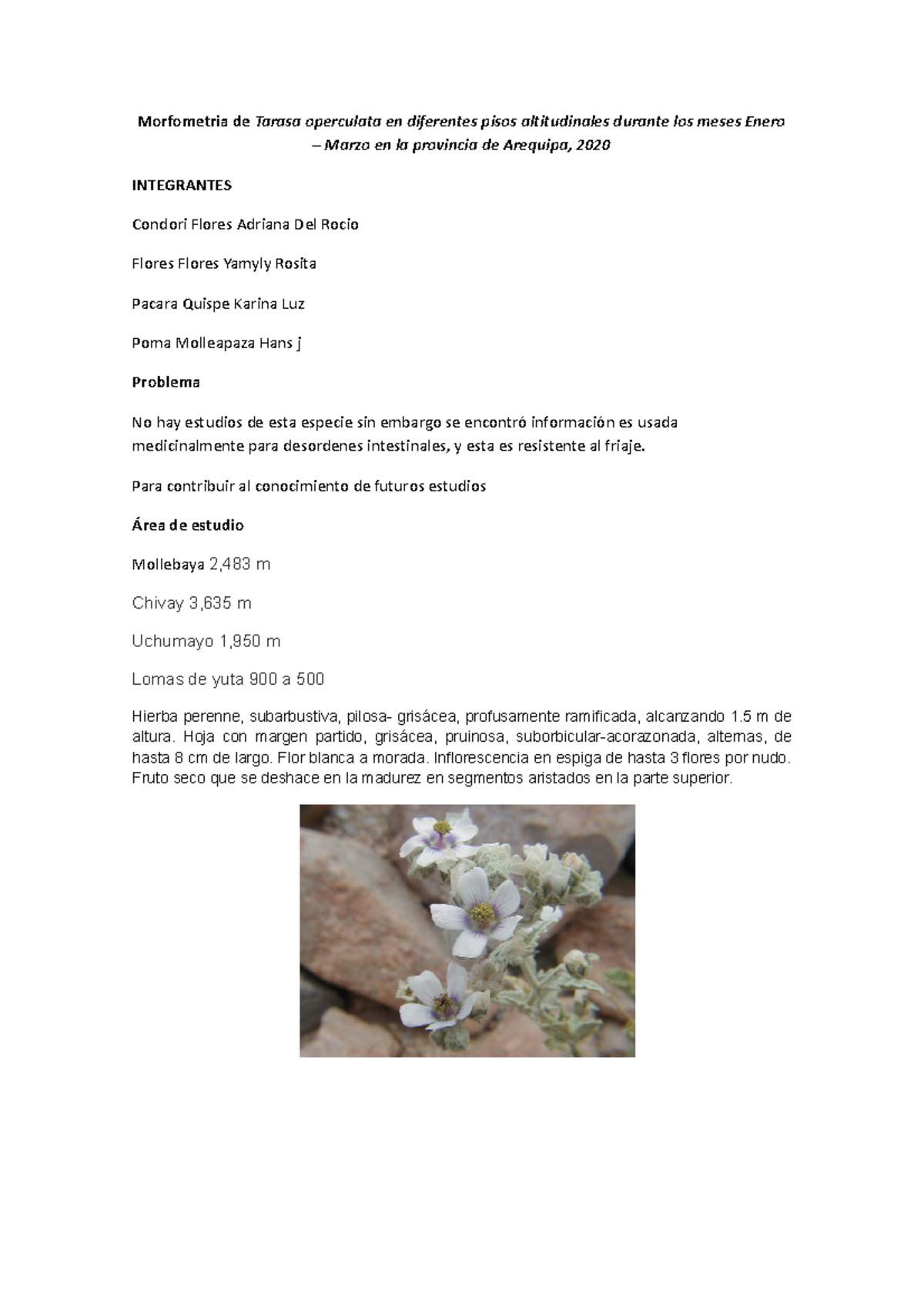 Tarasa operculata - .apuntes y cuestionarios de mercadotecnia ...