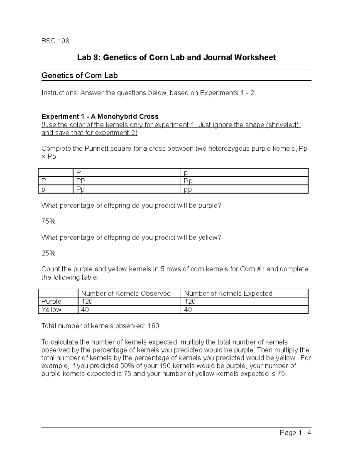 Lab 8 report bsc 108 - BSC 108 Lab 8: Genetics of Corn Lab and Journal ...