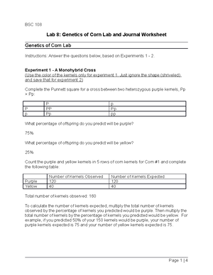 Lab 6 respiration Worksheet 23 - Click or tap here to enter text. BSC ...