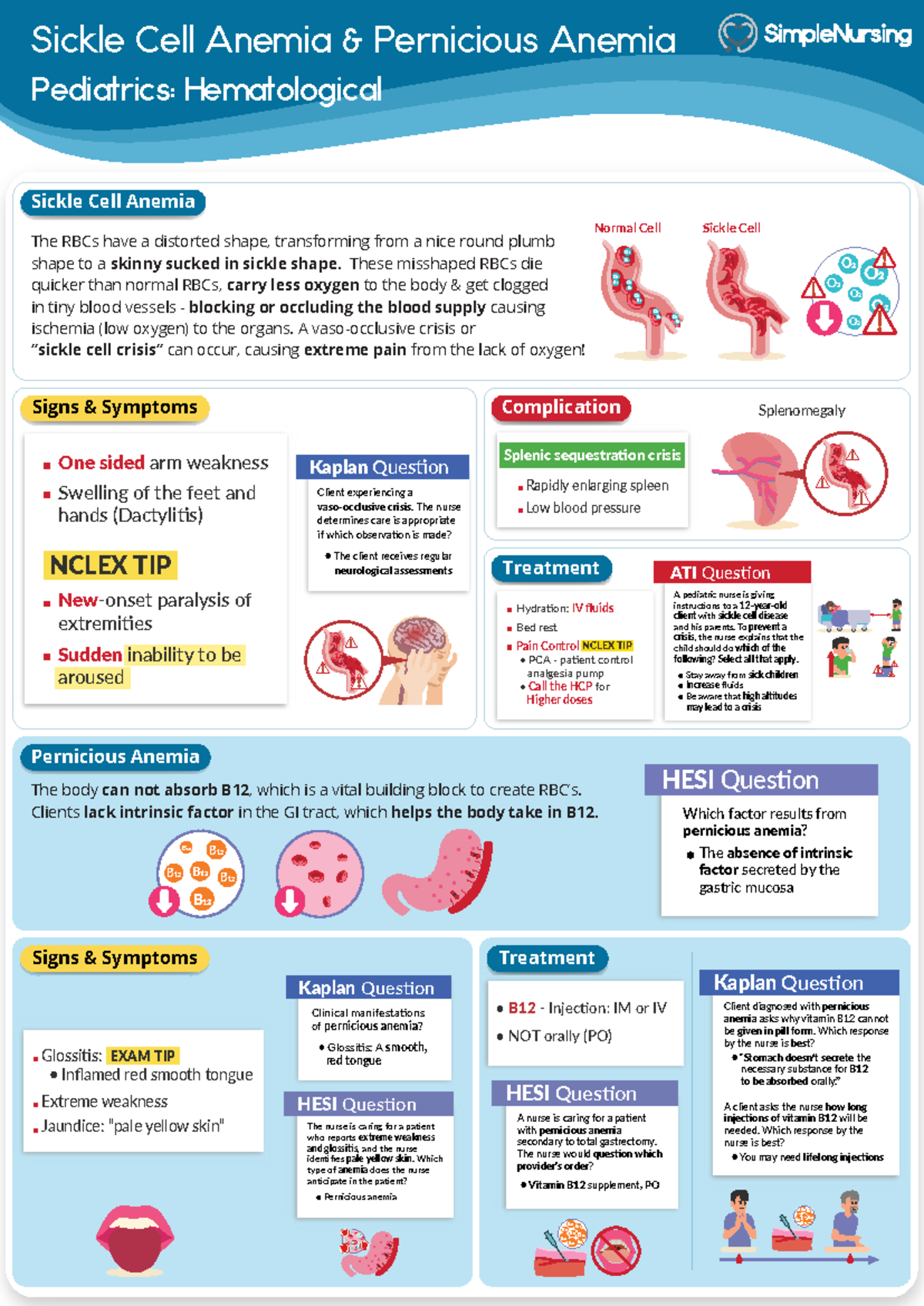 2. Sickle Cell Anemia & Pernicious Anemia - Sickle Cell Anemia ...