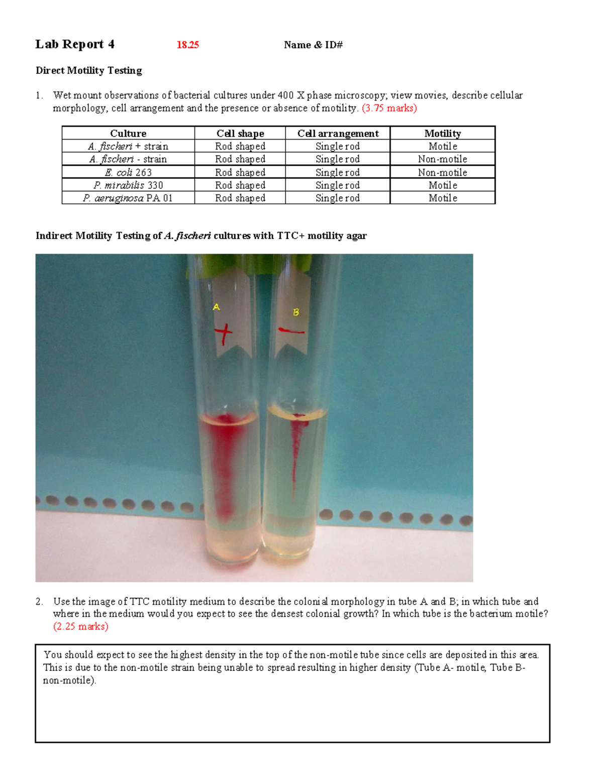 MICR2420 Lab Report 4 - Lab Report 4 18 Name & ID# Direct Motility ...