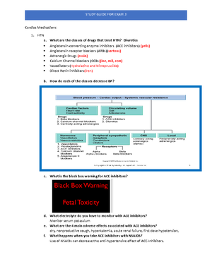 Hesi studyguide - Pharmacology - HESI ENTRANCE EXAMINATION STUDY GUIDE ...