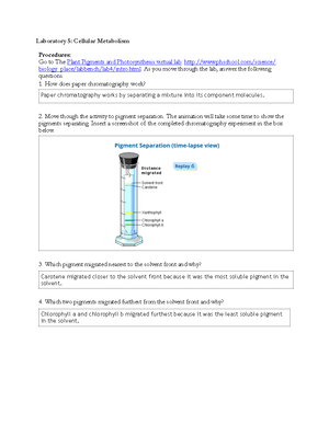 Lab 7 Write-Up Answer Sheet - Lab 7: Genetics Answer Sheet I. Genetics ...