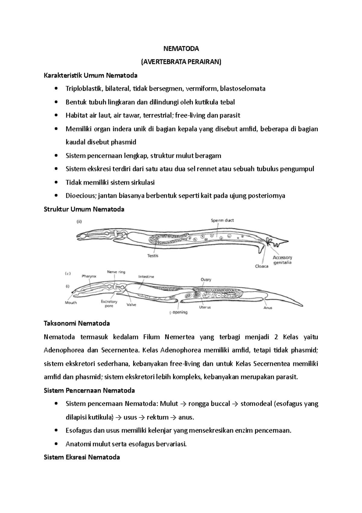 Nematoda (Cacing Bulat Panjang) - NEMATODA (AVERTEBRATA PERAIRAN ...