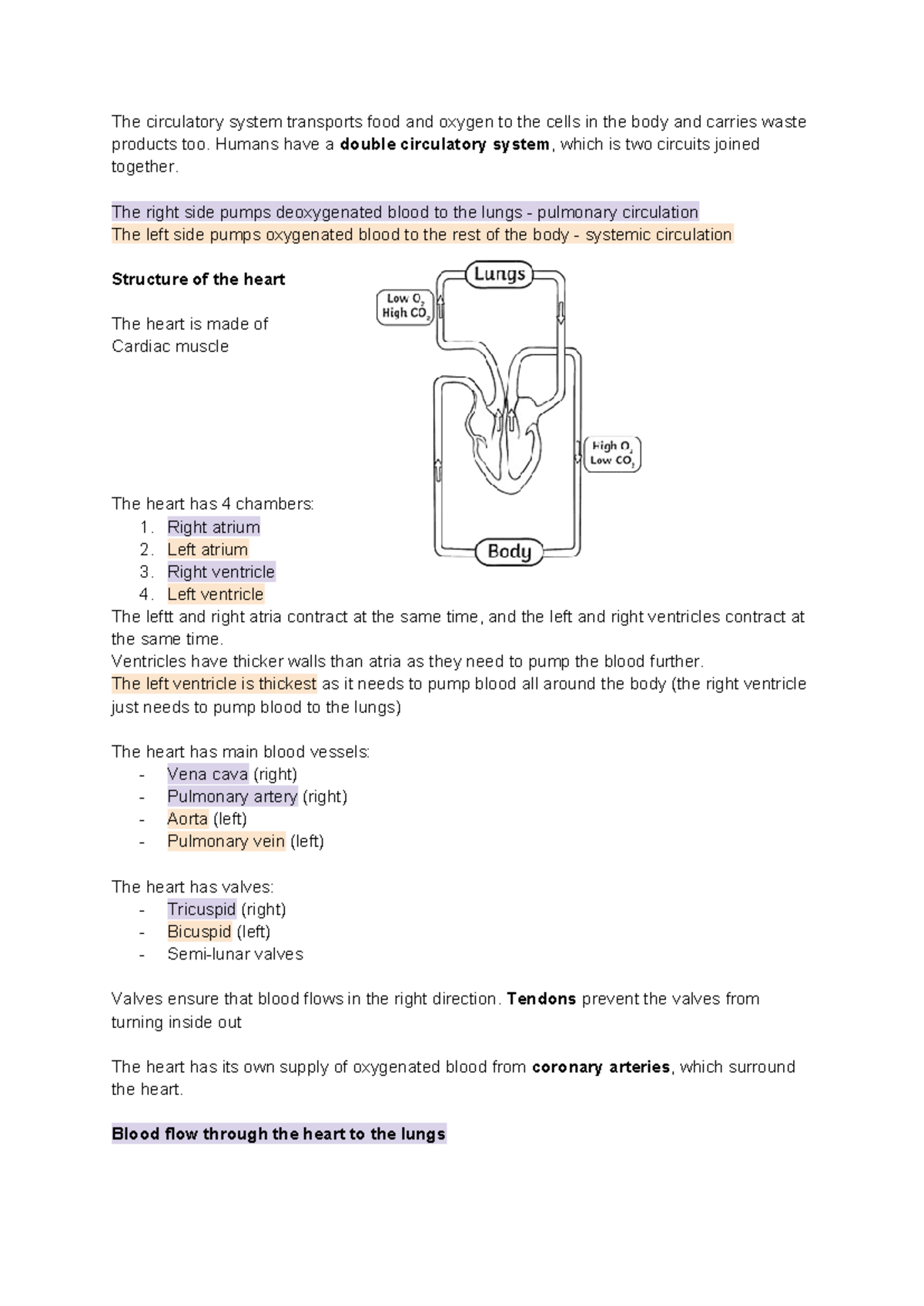 Circulatory system revision - The circulatory system transports food ...