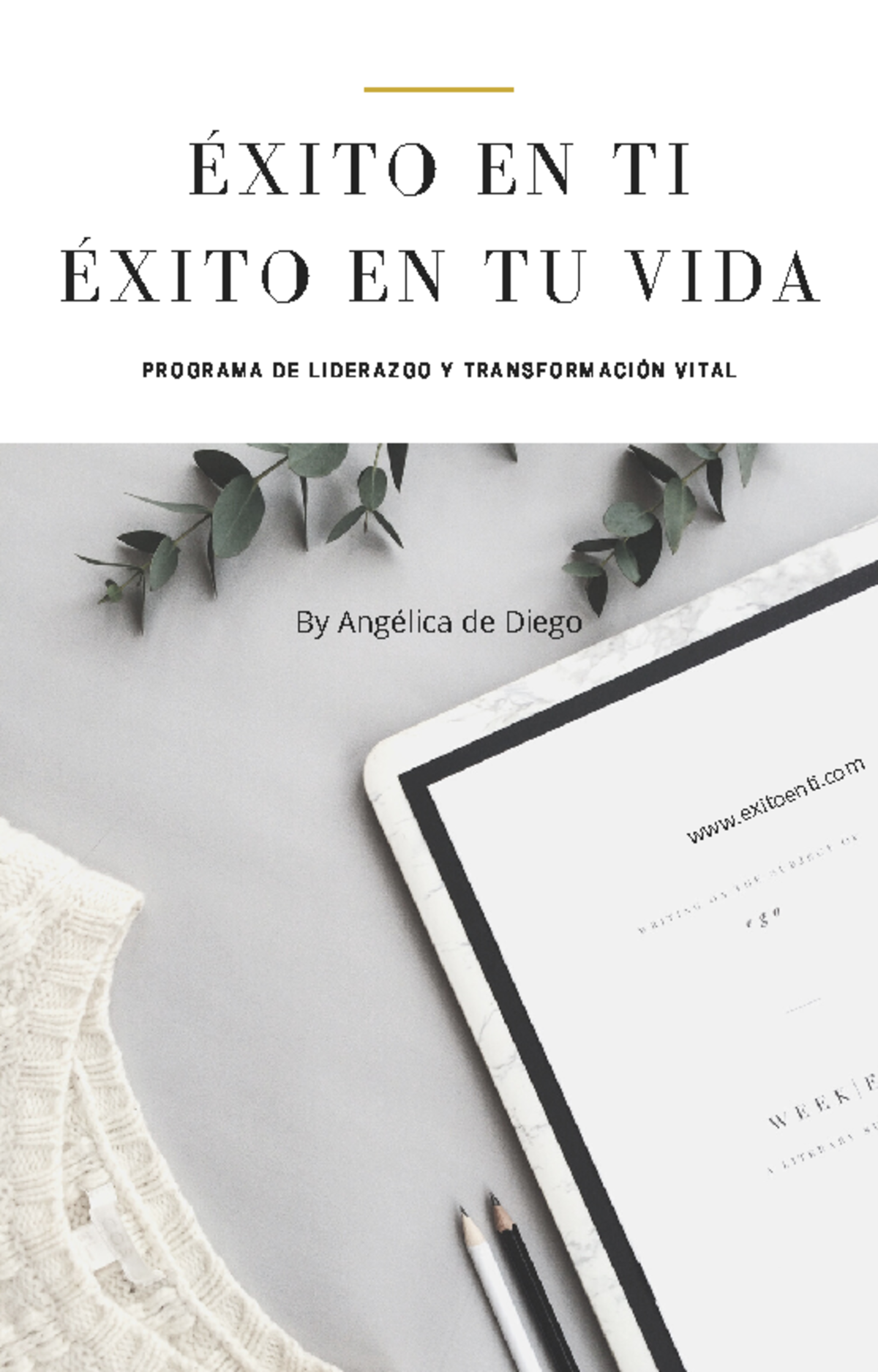 Éxito en Ti 3 - Resumen proceso coaching - P R O G R A M A D E L I D E ...