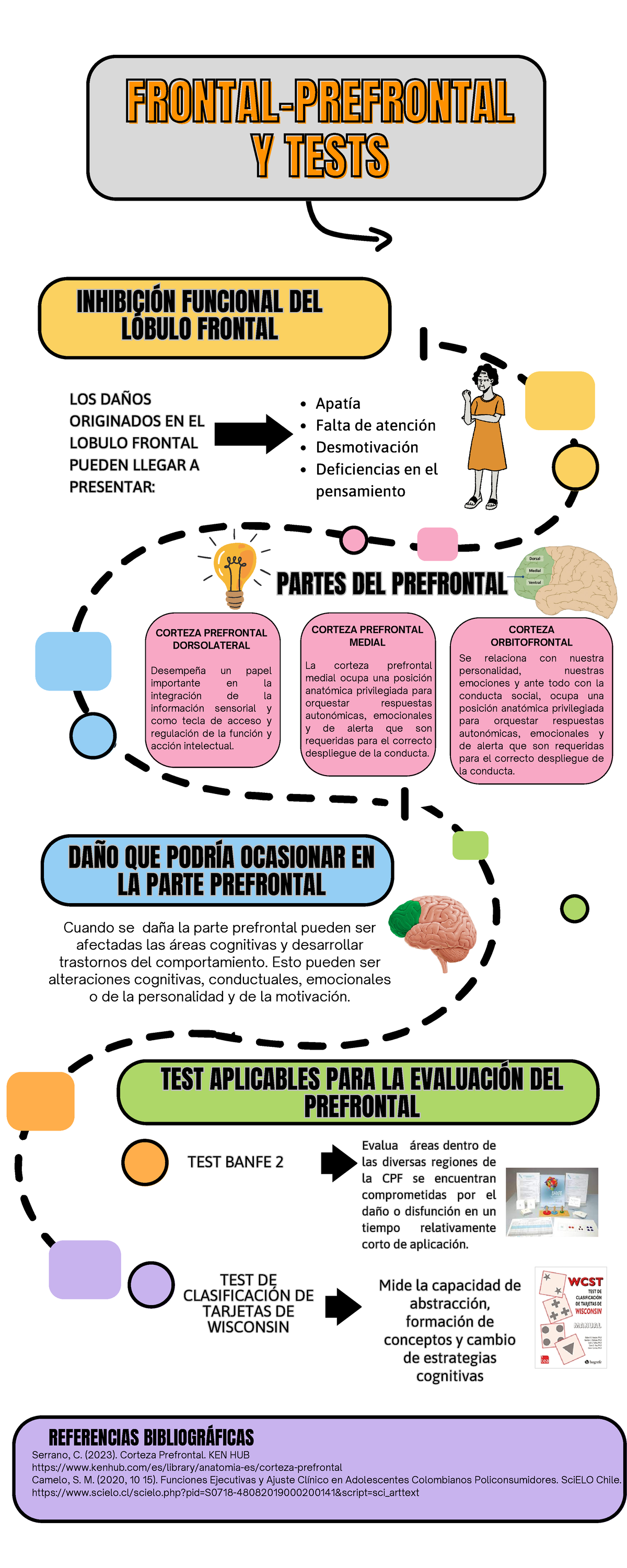 Frontal- Prefrontal Y TEST - FRONTAL-PREFRONTALFRONTAL-PREFRONTAL Y ...