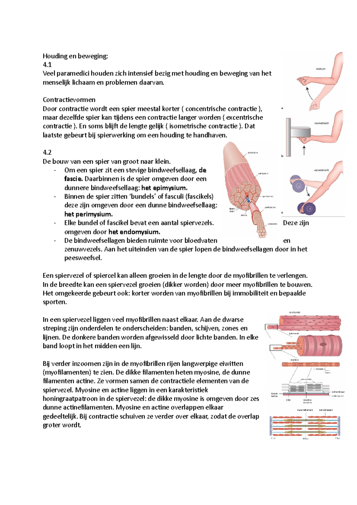 Houding en beweging H4 anatomische stand en beweging van de ...