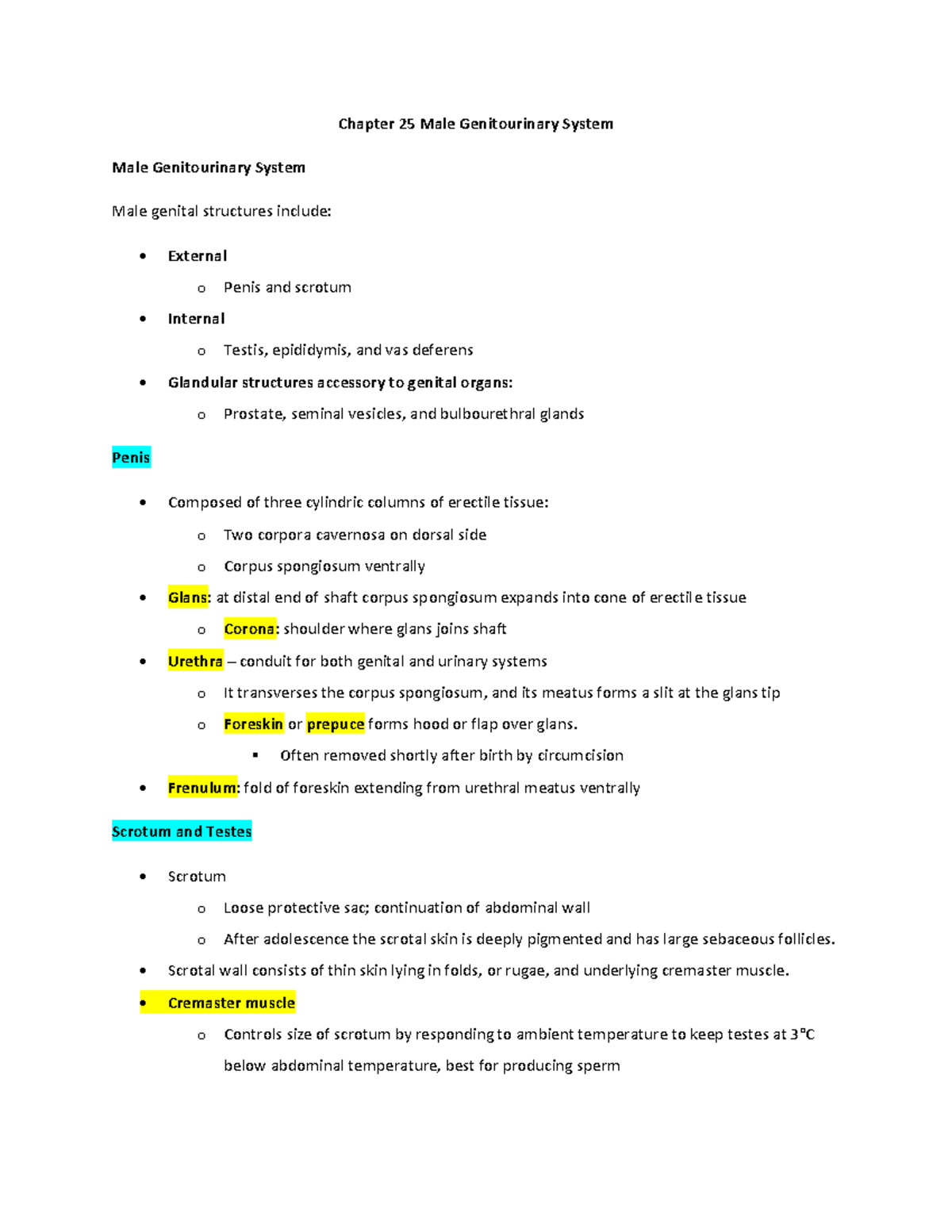 Chapter 25 Male Genitourinary System - Chapter 25 Male Genitourinary ...