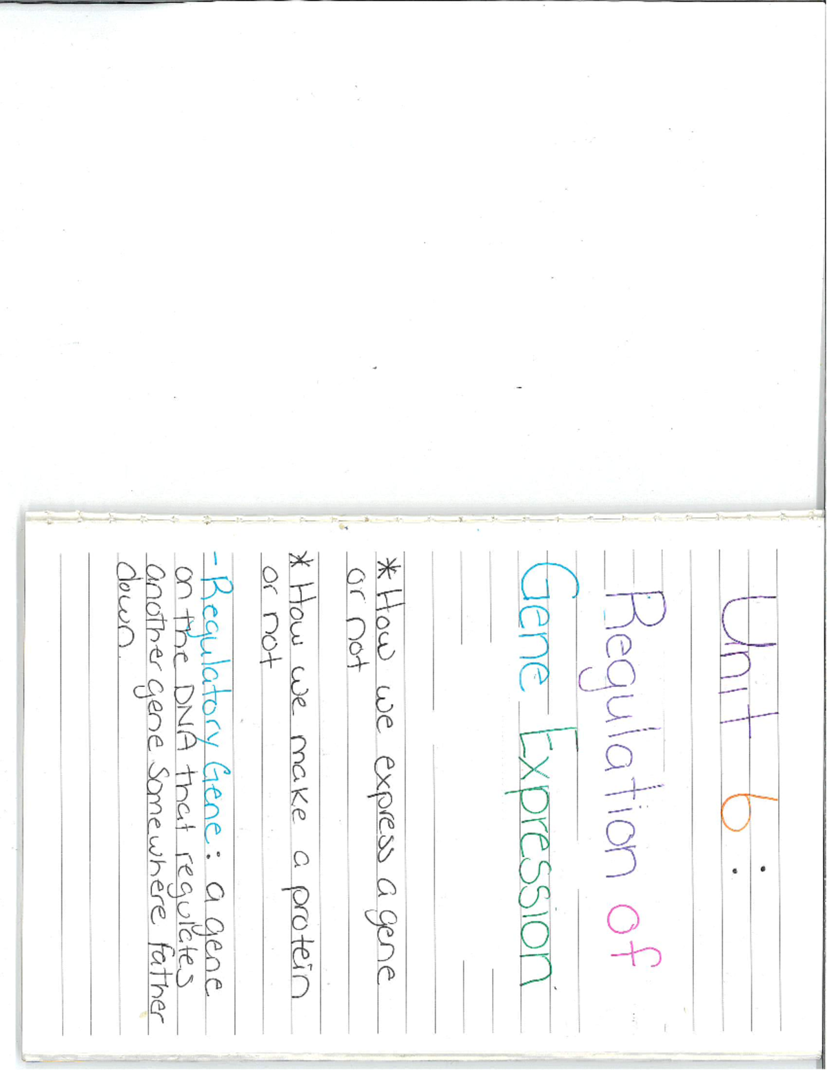 Unit 6 - CNB Gene Expression Notes - Studocu