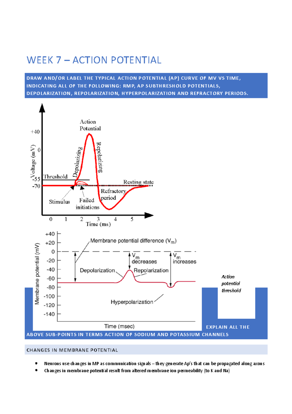 1014 Weeks 7-9 Learning Objectives - WEEK 7 – ACTION POTENTIAL DRAW AND ...