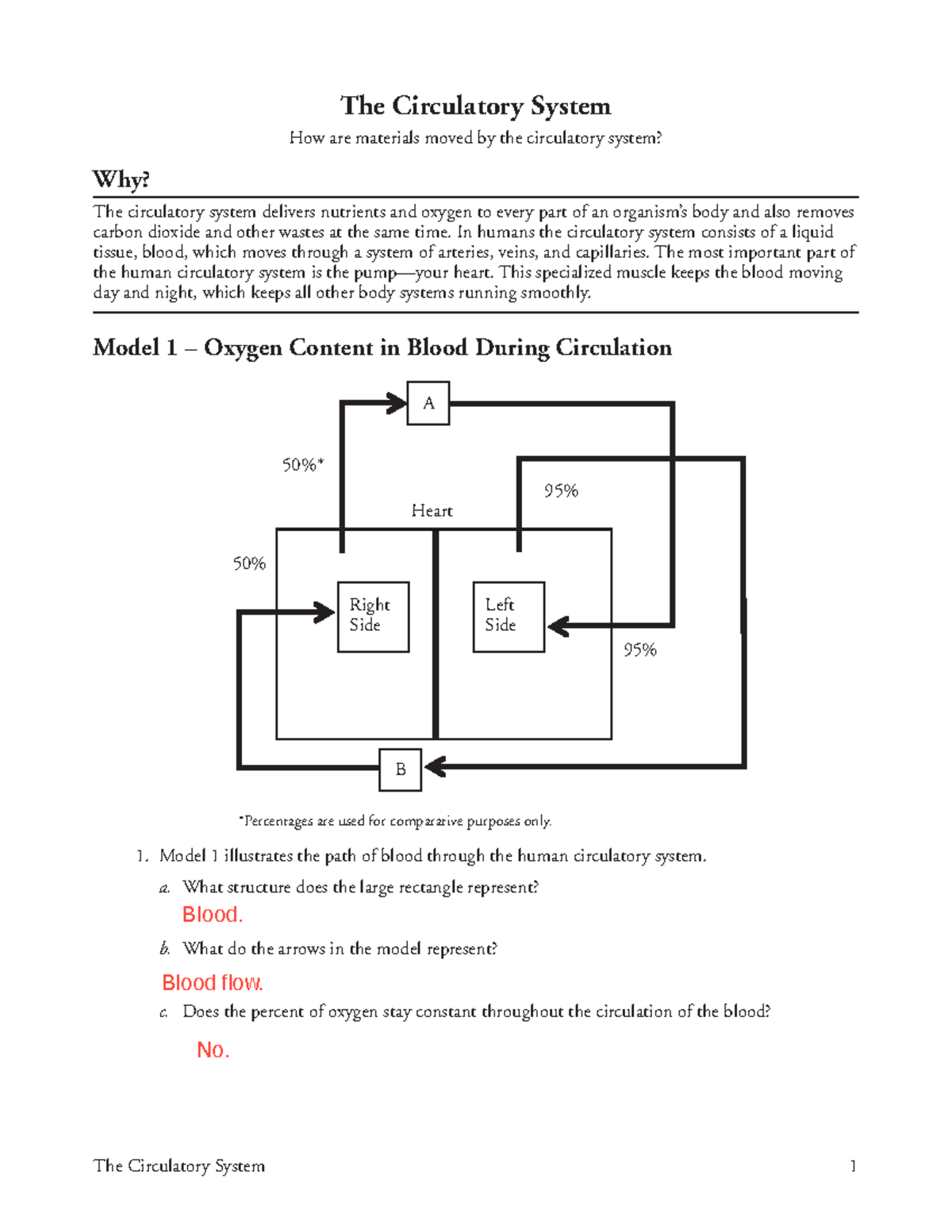 32 The Circulatory System-S - The Circulatory System 1 The Circulatory ...