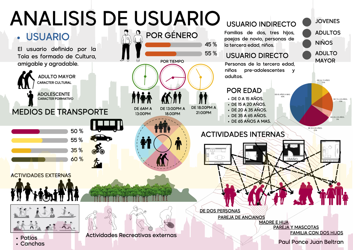 Analisis de Usuario Taller II - 45 % 55 % 50 % 55 % 35 % 60 % DE 65 ...