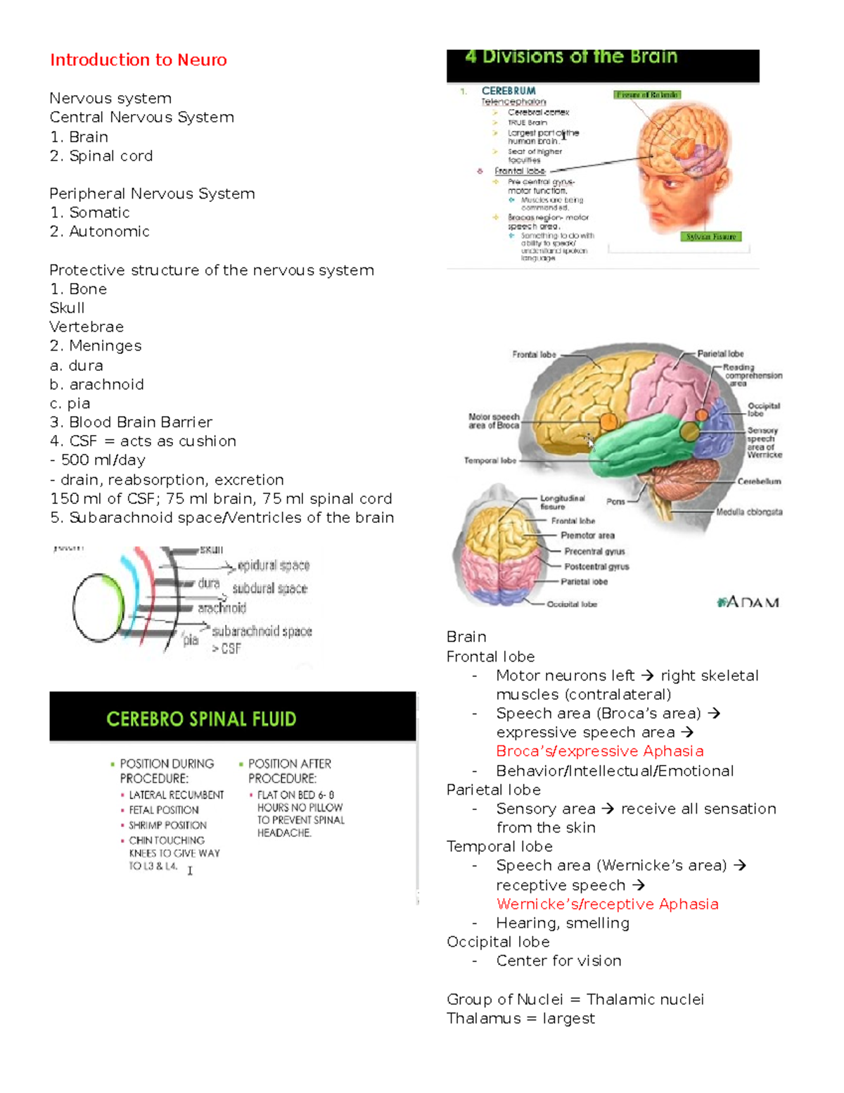 Introduction to Neuro - ASKNASKNKJSANDKJASND - Introduction to Neuro ...
