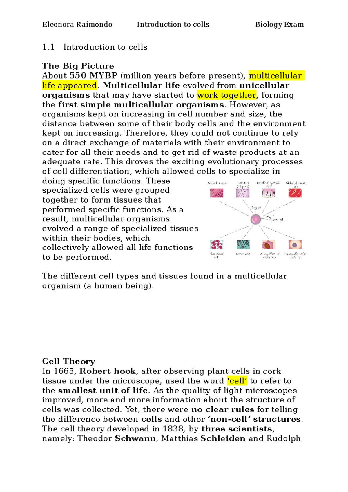1.1 Introduction to cells - 1 Introduction to cells The Big Picture ...