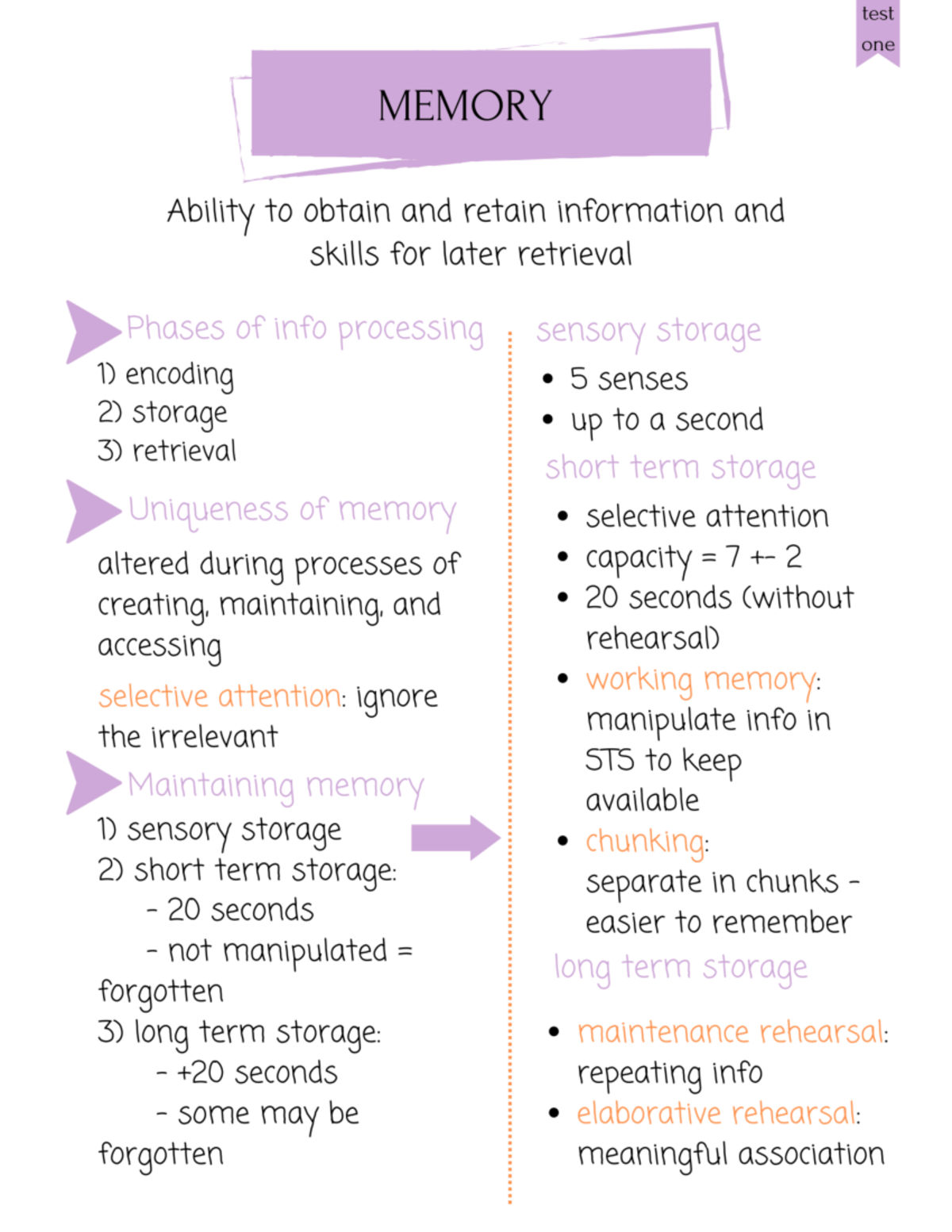 General psychology l - memory (part 1) - PSY 111 - Studocu