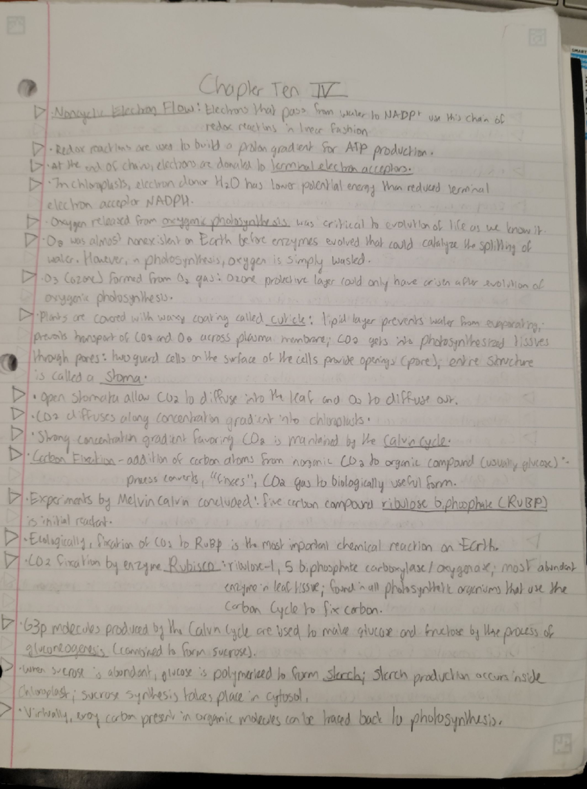 Chapter Ten page four - Portmann notes - BIOL 2253 - Studocu